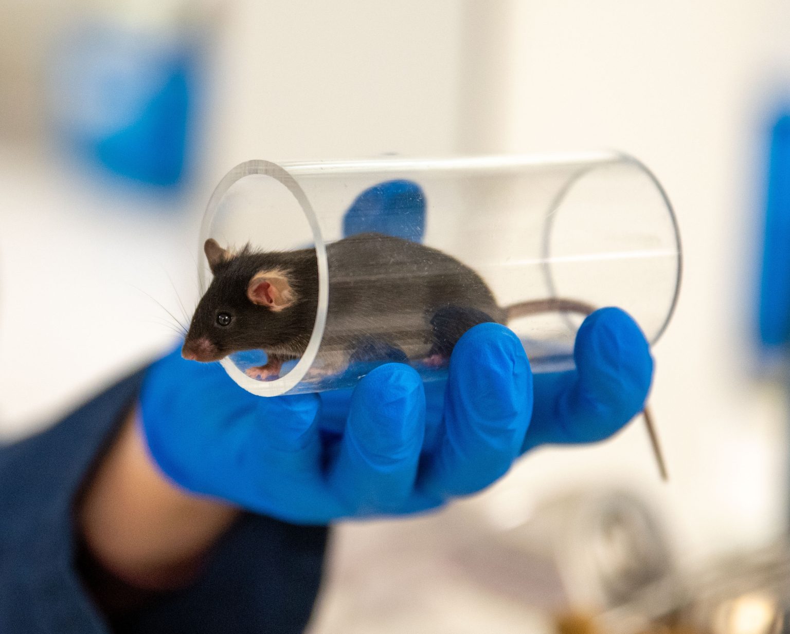 Membership - Research Animal Training